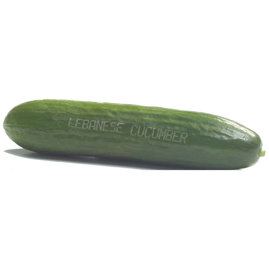 Fresh Produce Cucumbers Lebanese Reviews - Black Box