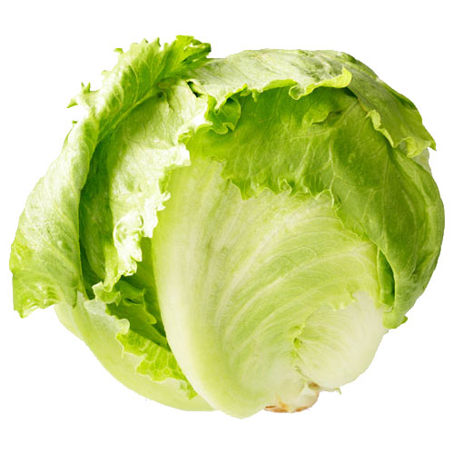 Fresh Produce Lettuce Traditional Iceberg Reviews - Black Box