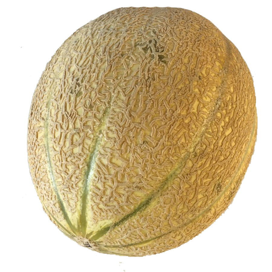 Fresh Produce Rockmelon Whole Reviews - Black Box